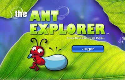 The Ant Explorer