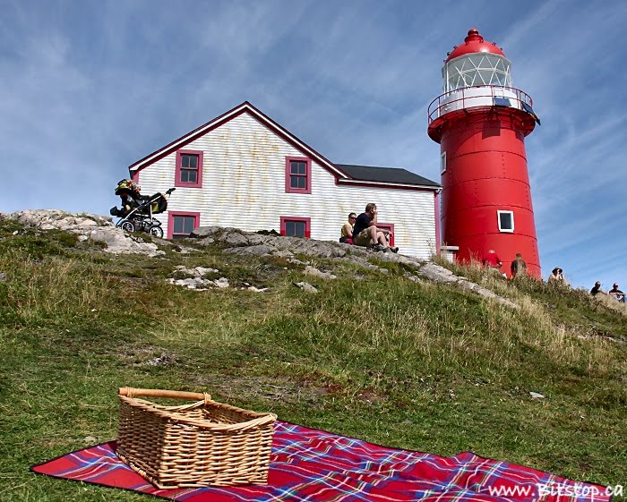 Bitstop: Ferryland Lighthouse Picnics