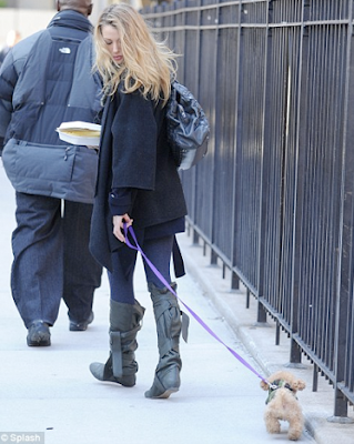 Shop Fairy: Celebrity Pets: Blake Lively and her dog Penny