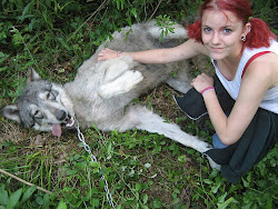 Sandra Davidson Creates: Borrowed Trouble's Real Life Connection to Wolves