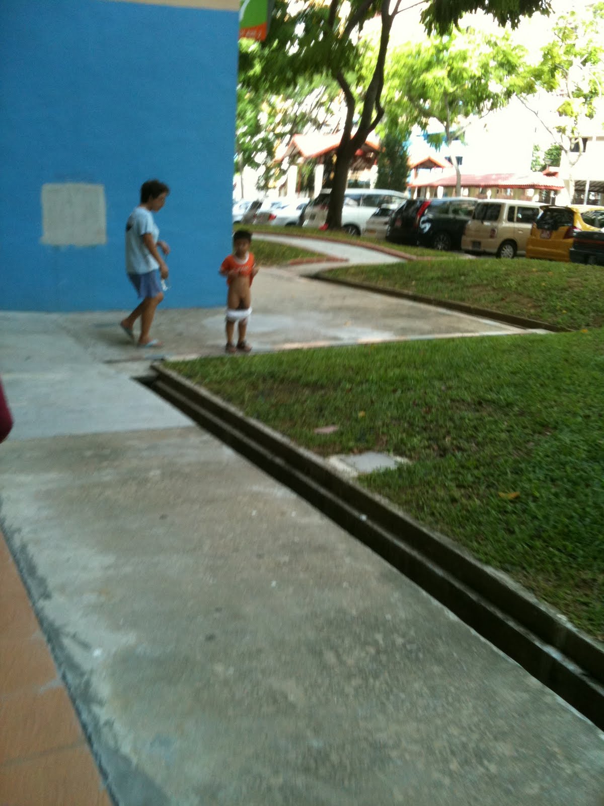 Singapore Community Cats: A C-hild Urinating in Public - HDB should ...