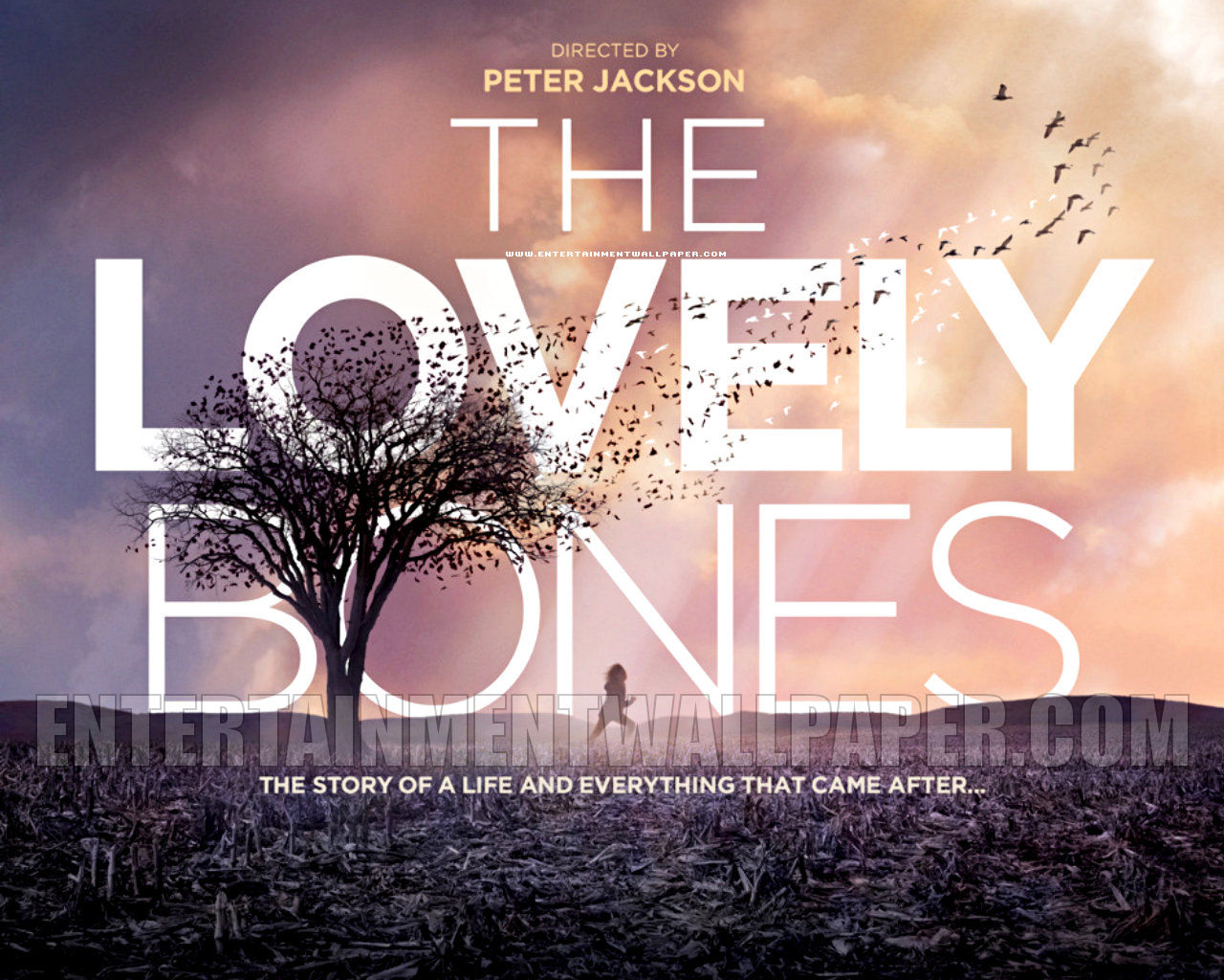 CINEMA-GOER: The lovely bones