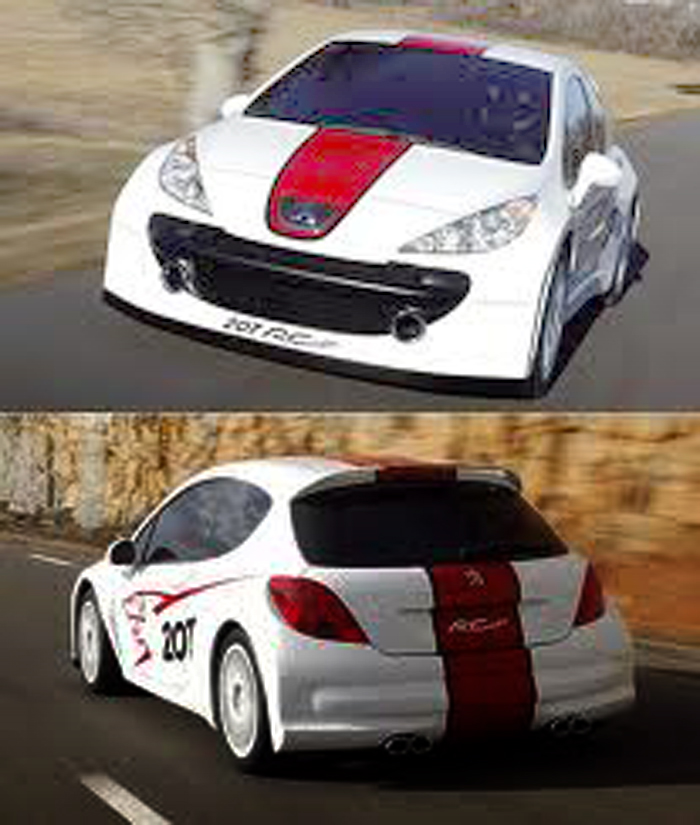 Modified peugeot 207 sport