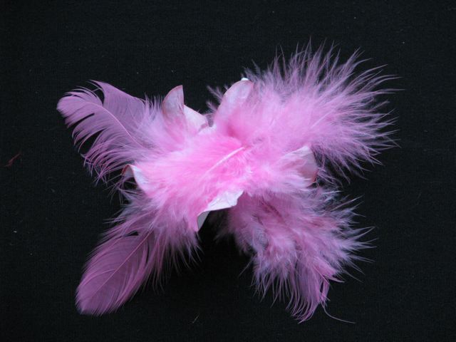 SIMPLY PAPER: Diva Feather Flower Tutorial