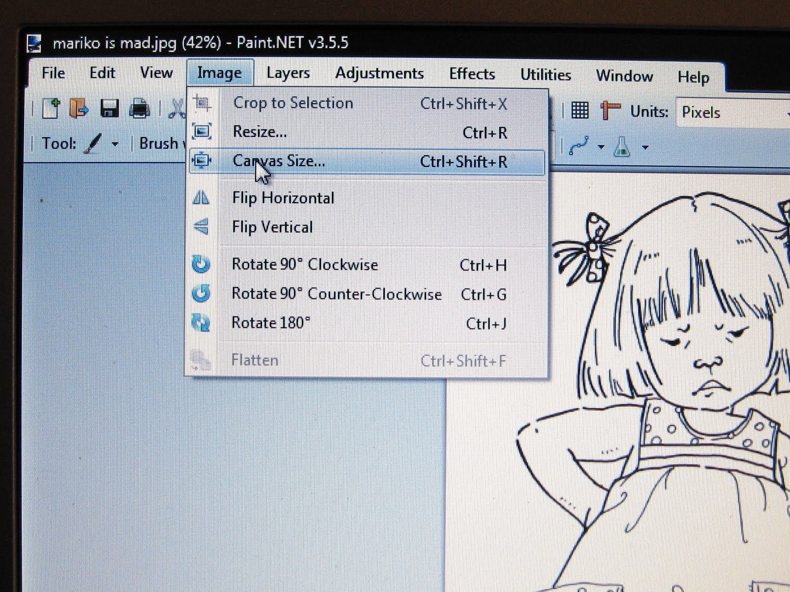 Debbie P's Place: Merging Digital Images Using Paint.NET
