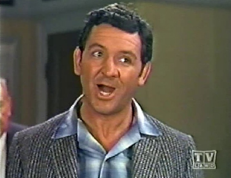 Thrilling Days of Yesteryear: Mayberry Mondays #6: “The Panel Show” (10 ...