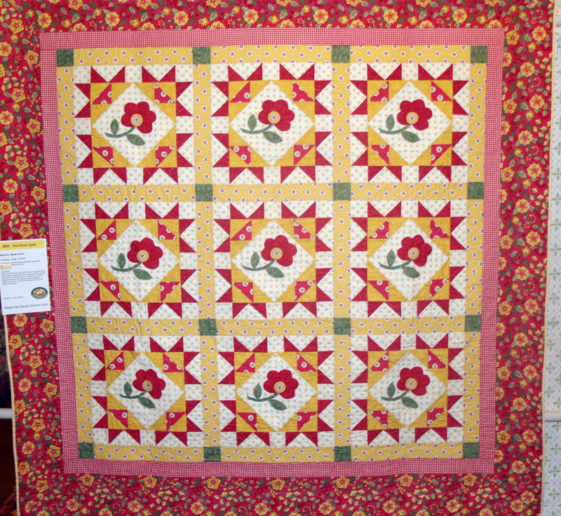 sewladybugsew: Quilt Show Pioneer Quilters Part 1