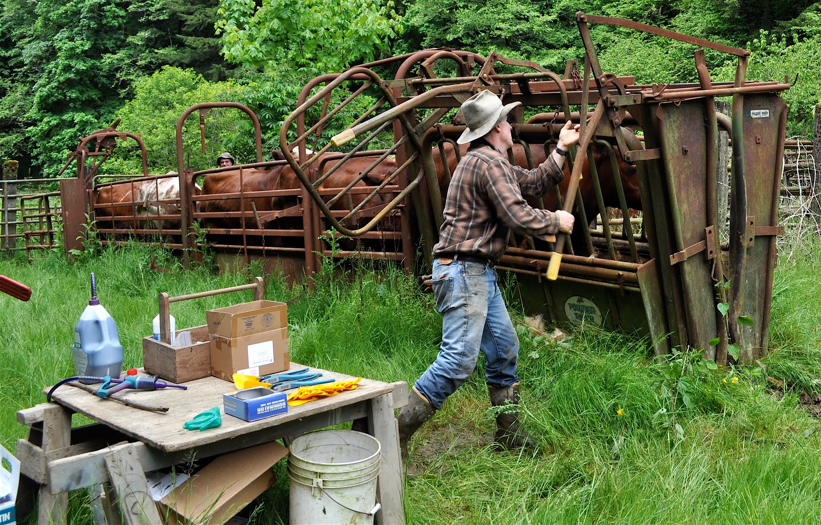 LuAnn Kessi: Round'em Up.....