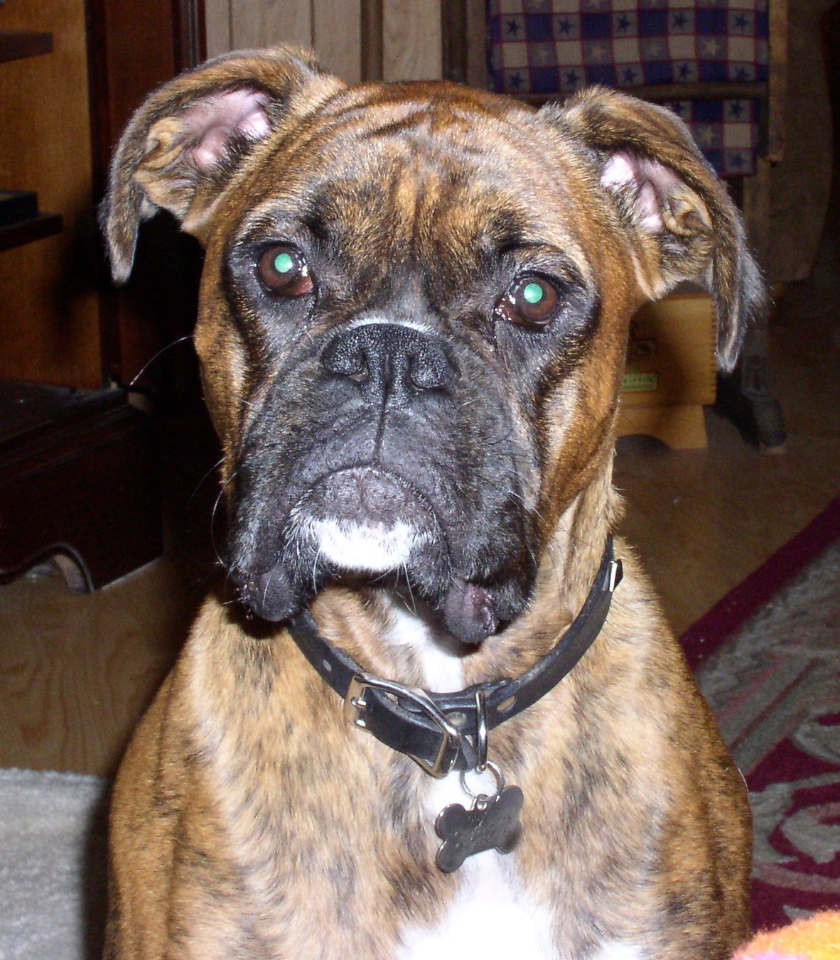 LuAnn Kessi: Portrait on Fabric.....Gunnr