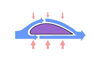 Mademoiselle's class blog: Bernoulli's Paper Airplane