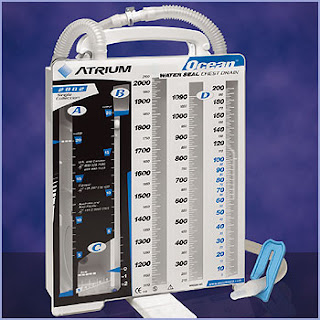 Hairless in Salt Lake: January 2009