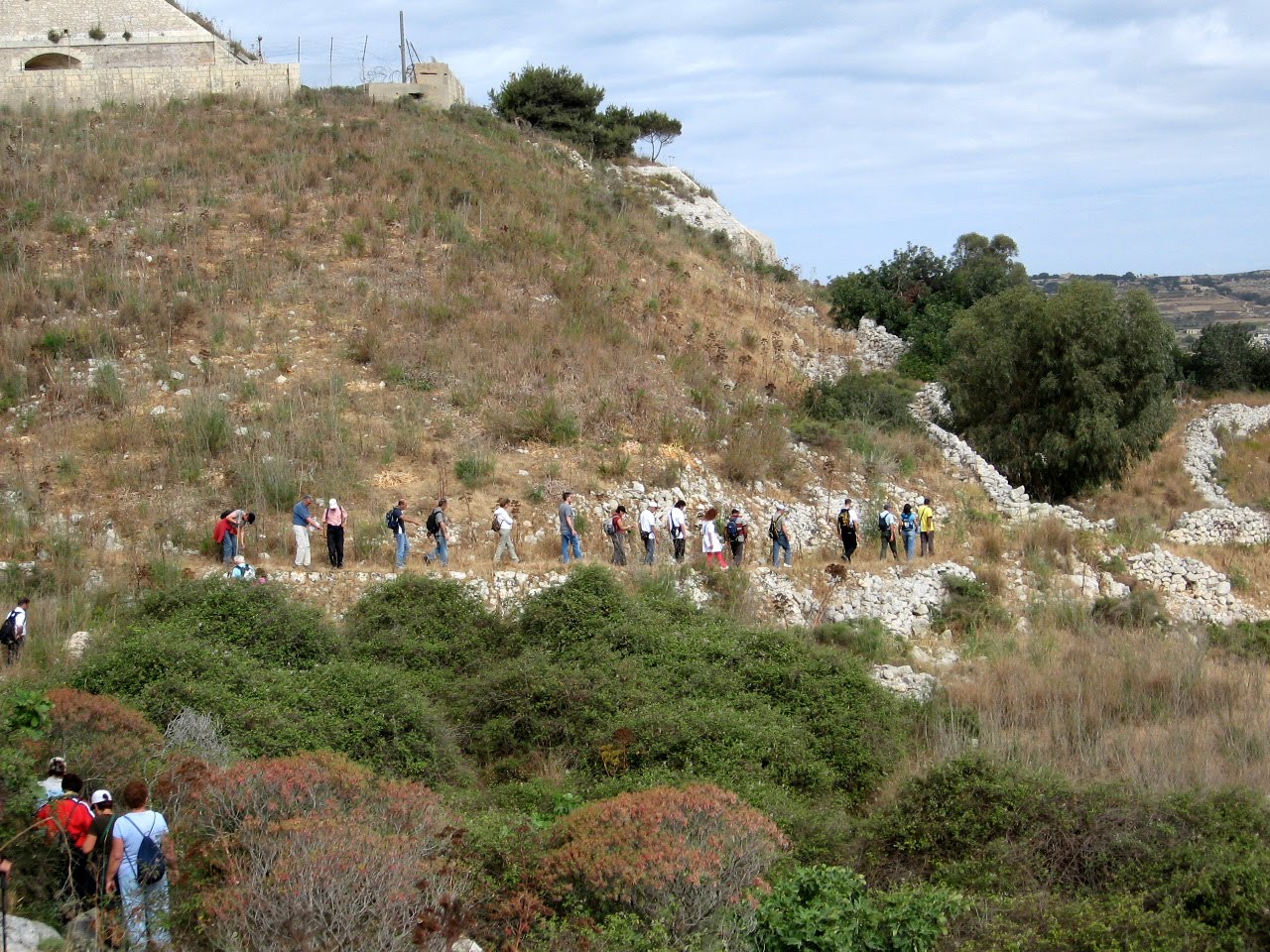 Ramblers Association of Malta: 16th May 2010 Walk - Mosta to Mellieha ...