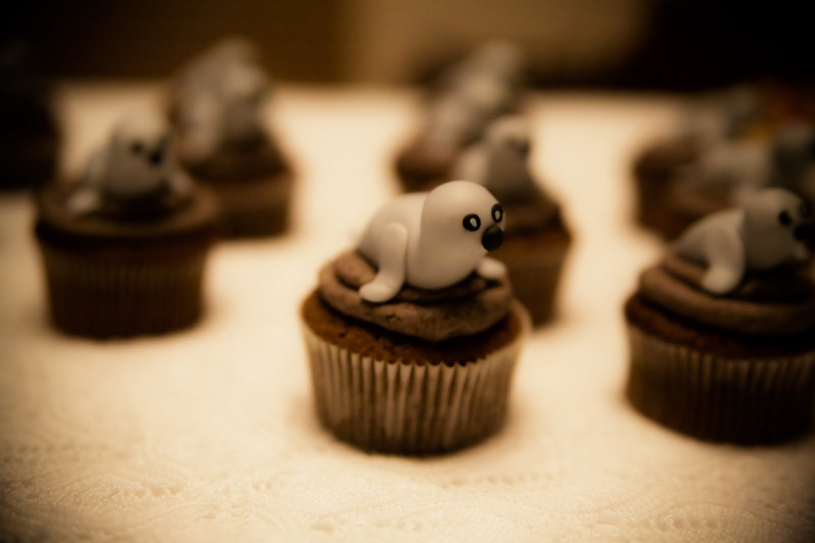 Claudia Montenegro: Focas