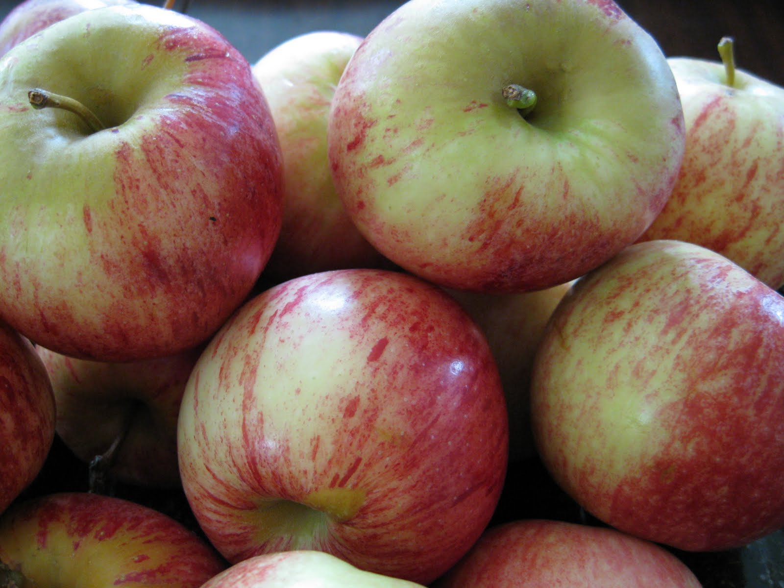 Something Else to Eat: Hunting humble apple crumble