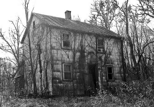 Phantasmic Oracles: The Blair Witch Mystery..!!