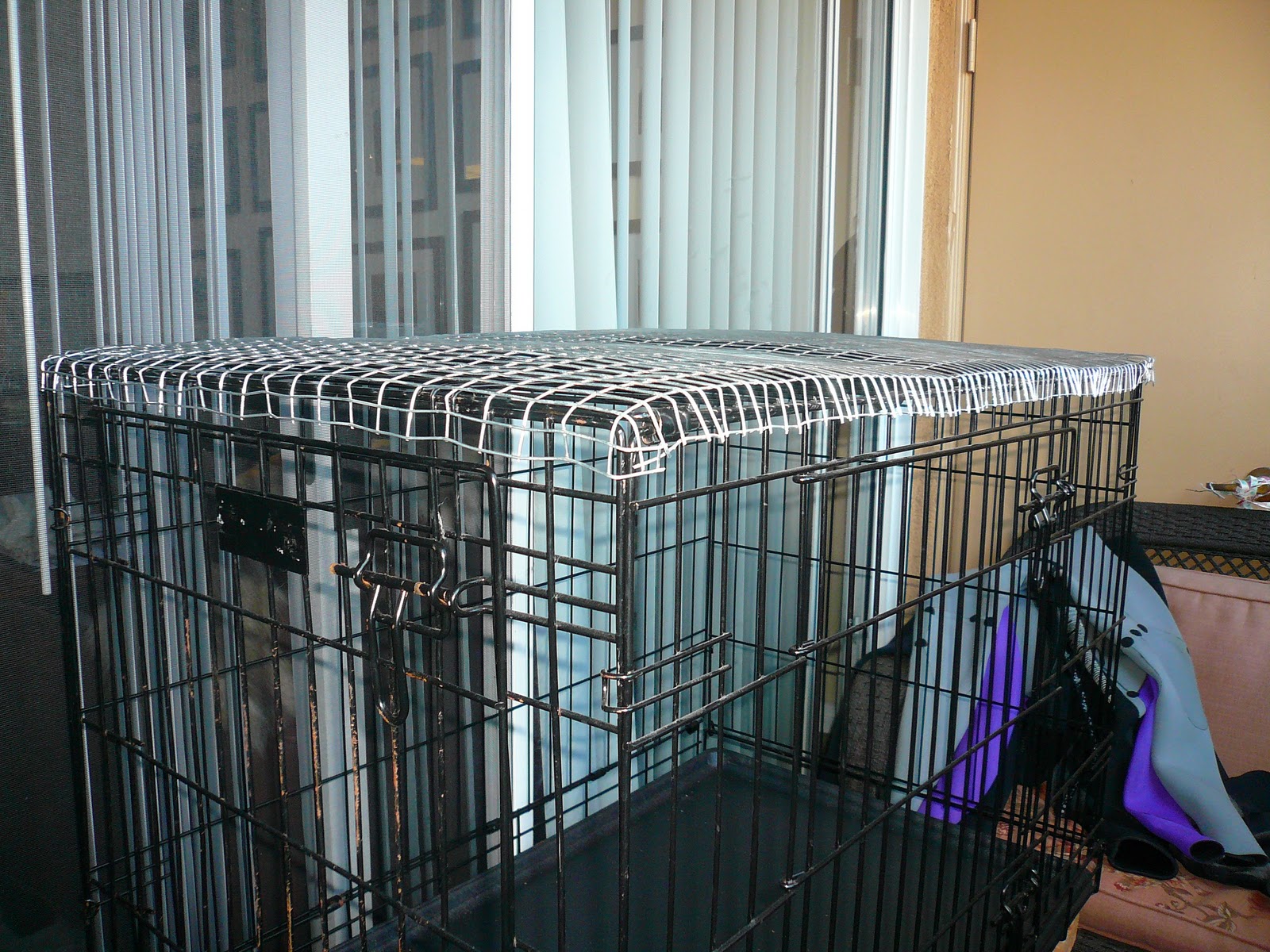 Kicking My Own: Rationalizing Rabbits, The Art of Cuteness, and A ...