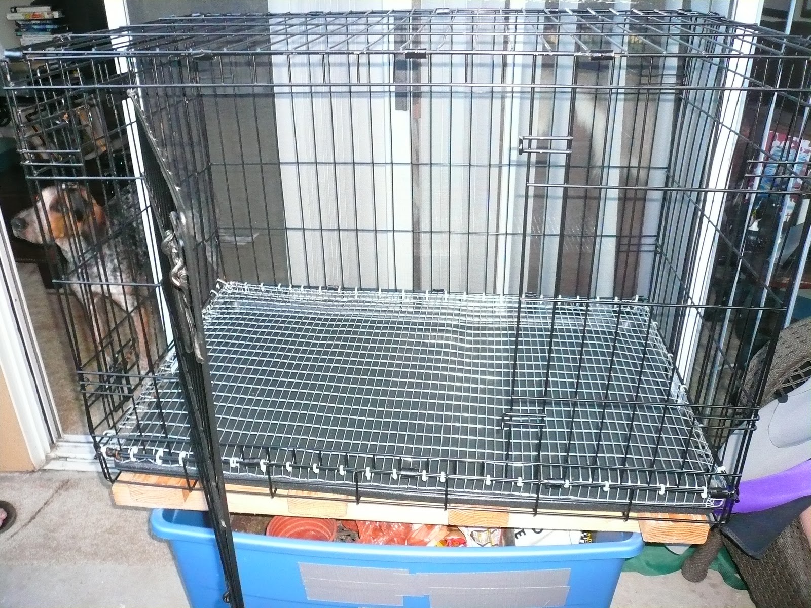 Kicking My Own: Rationalizing Rabbits, The Art of Cuteness, and A ...