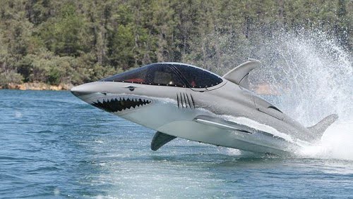 Wonderful World: 20 Funny Boats