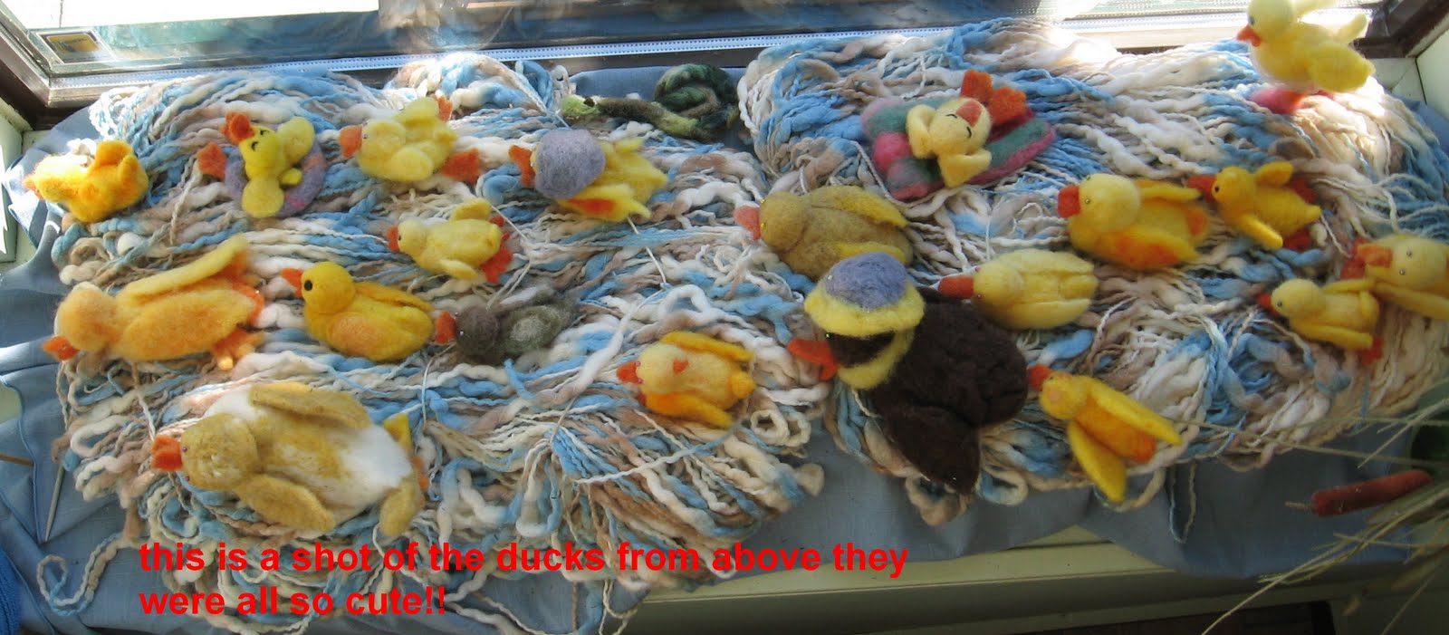 The Purple Sock: The Duck Race and First Prize for window display