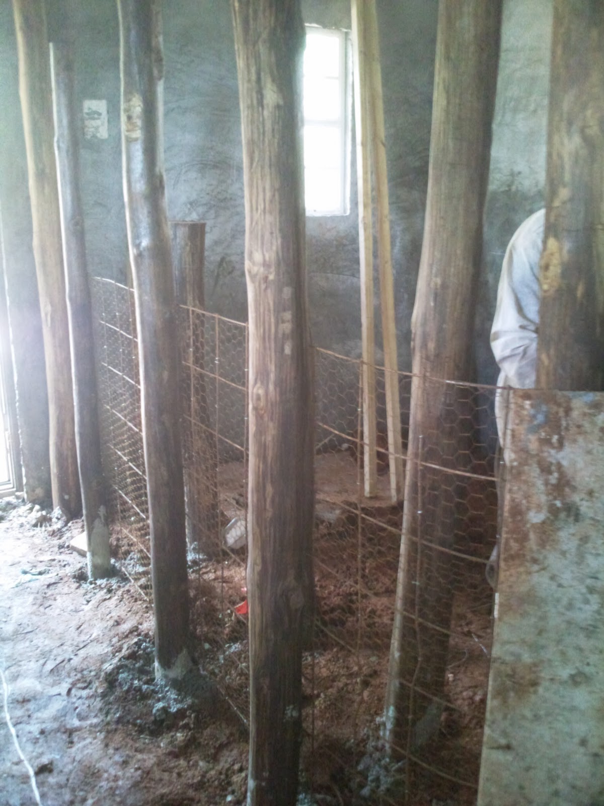 Build my home: Seperation Wall