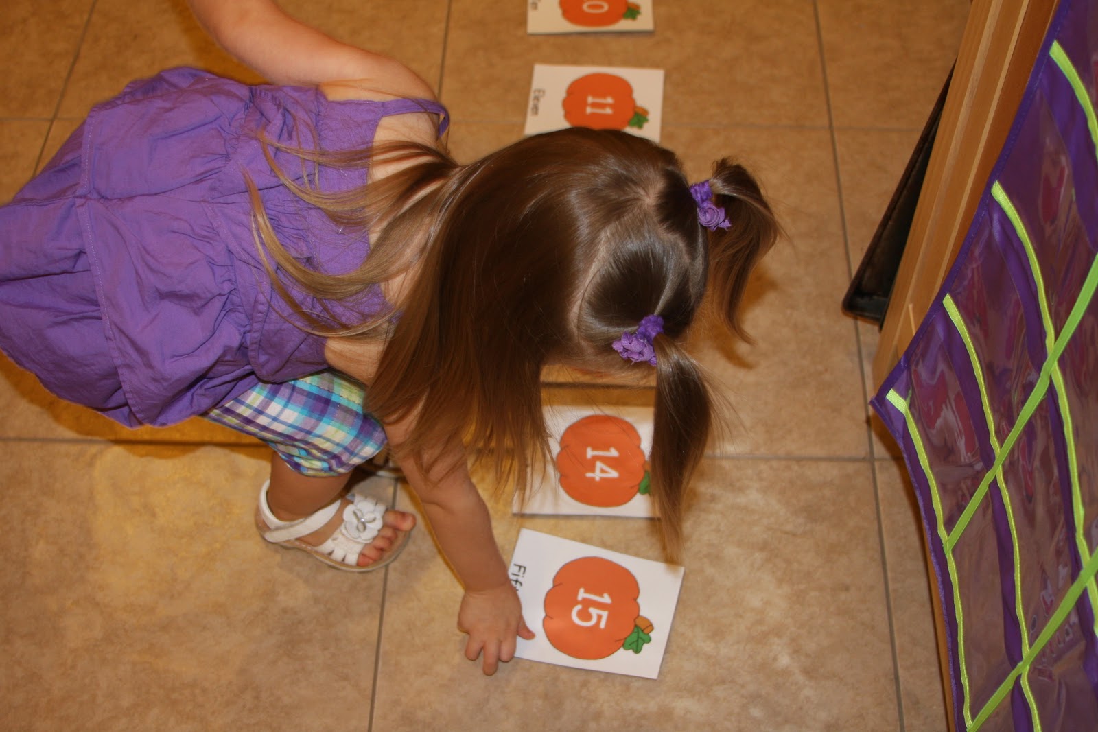 A Learning Journey: Pumpkins: Week Two