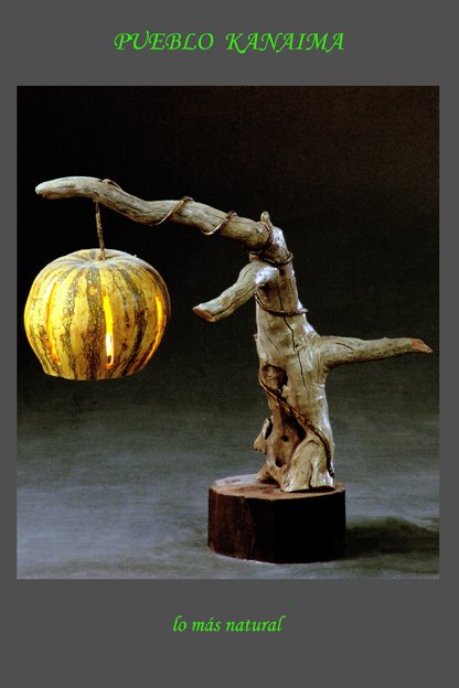 Pueblo Kanaima: Que Hacemos