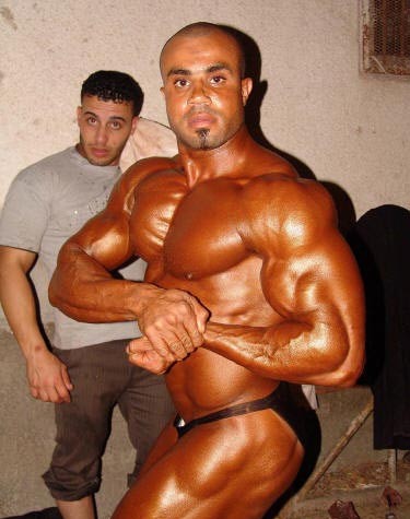 world bodybuilders pictures: handsome and beautiful muscles arab egyptian bodybuilder ahmed kader