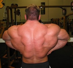 world bodybuilders pictures: different waists of bodybuilders from all ...