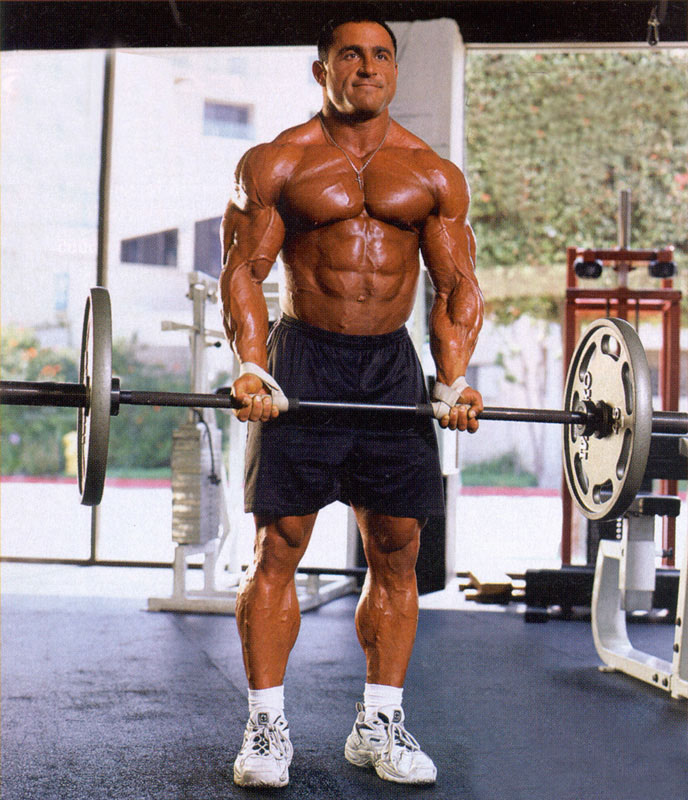 world bodybuilders pictures: handsome bodybuilder mike ergas during gym ...