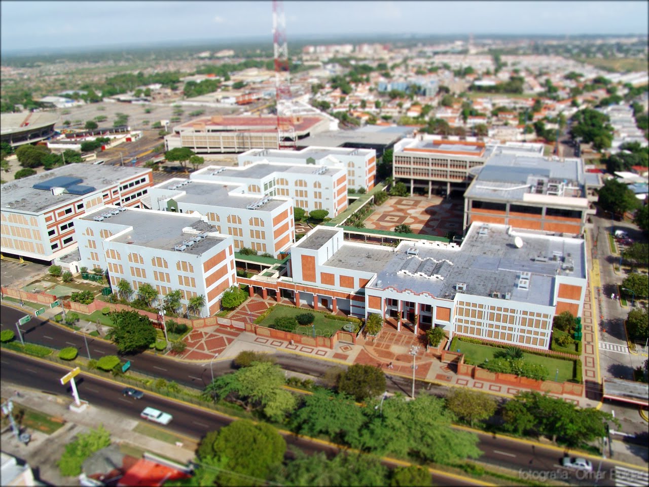 URBE, ENGLISH STUDENT