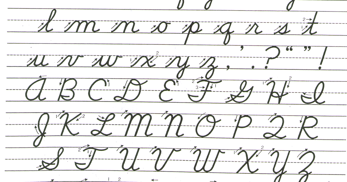 A Bug s Life Of Handwriting And Fonts A Bug s Life Of Handwriting And Fonts