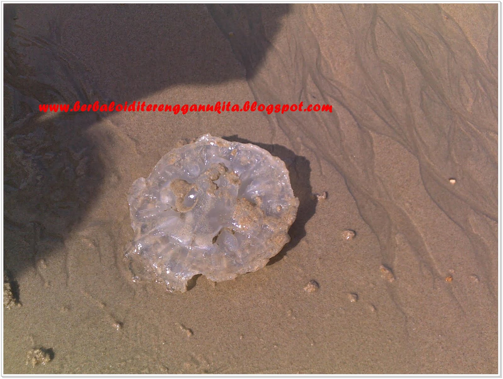 MENIKMATI PANORAMA YANG INDAH DI PANTAI BATU RAKIT | Berbaloi di ...