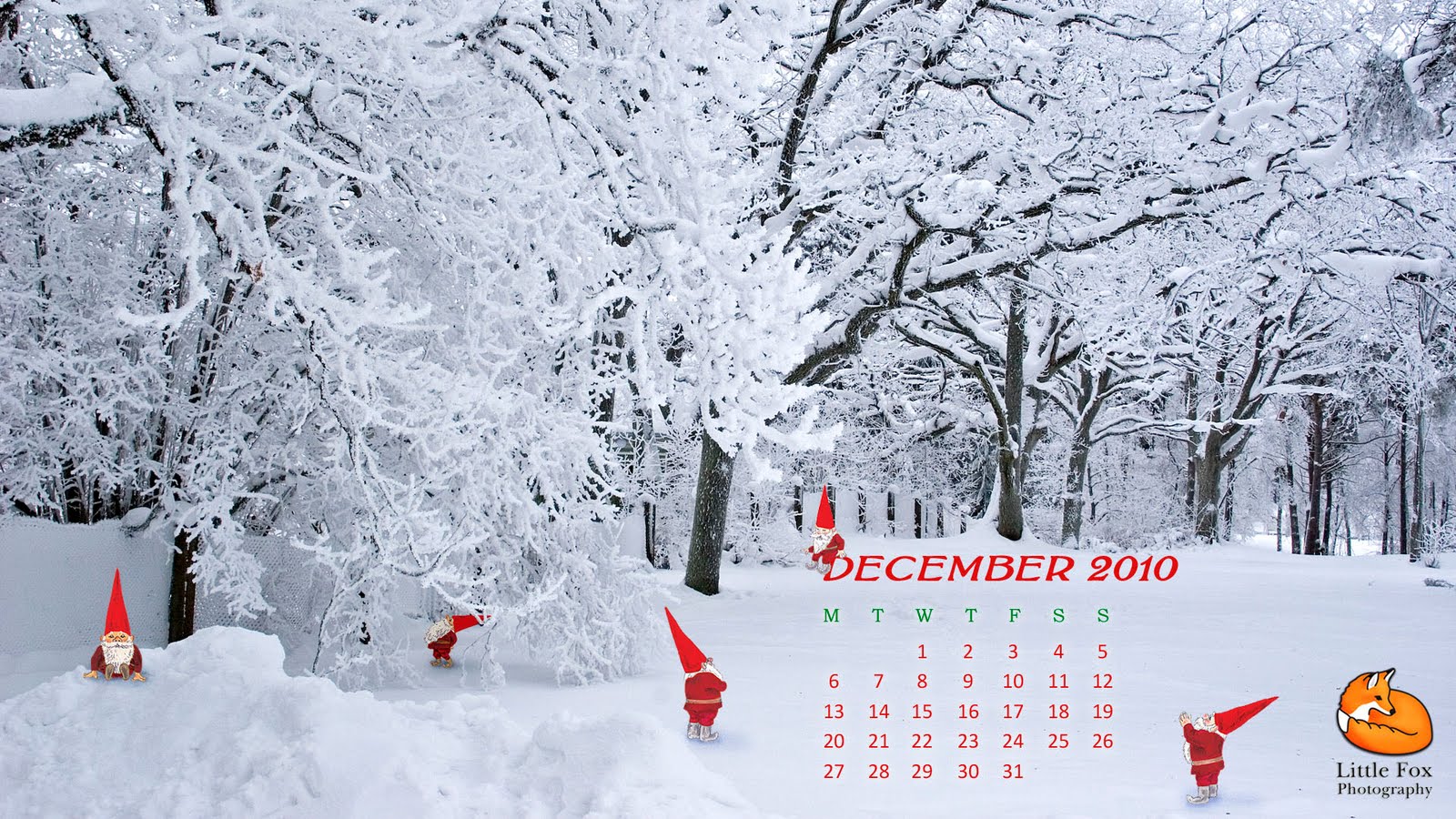 Nature and Wildlife Photography blog: Free desktop calendar for ...