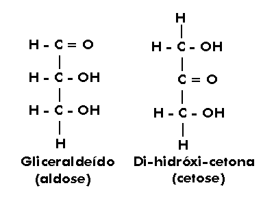 Quimica 3º "A": Glicídios