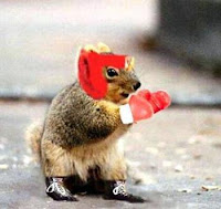 A Tutu for You: LET THE FIGHTING BEGIN!