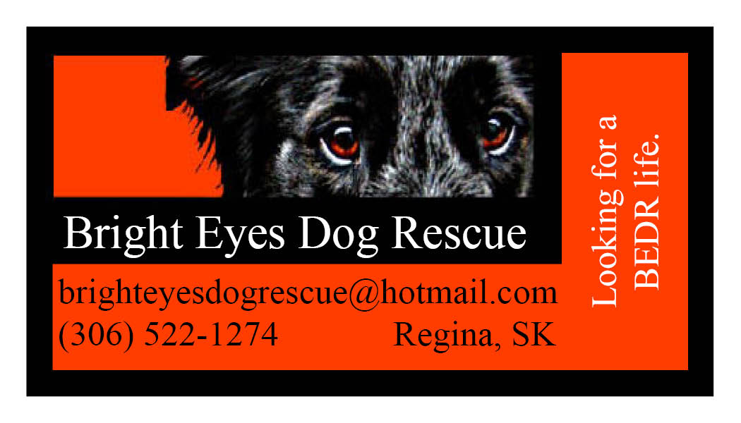 Graphics Portfolio: Bright Eyes Dog Rescue Business Card & Letter Head