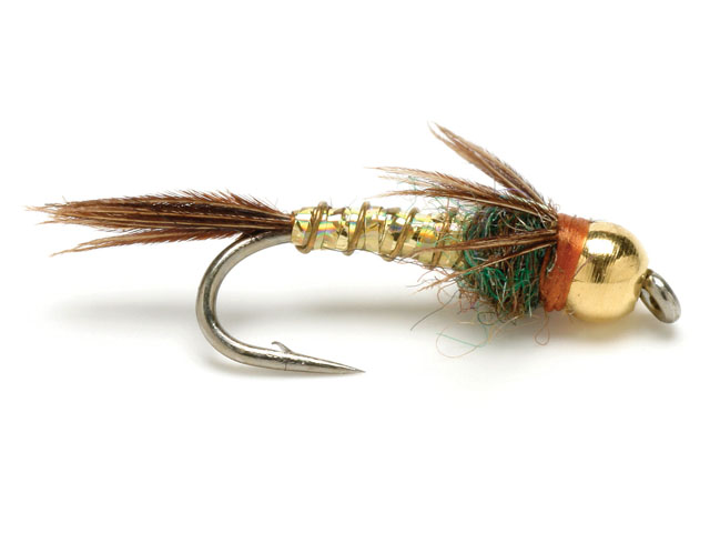 all species fishing: fly fishing suckers