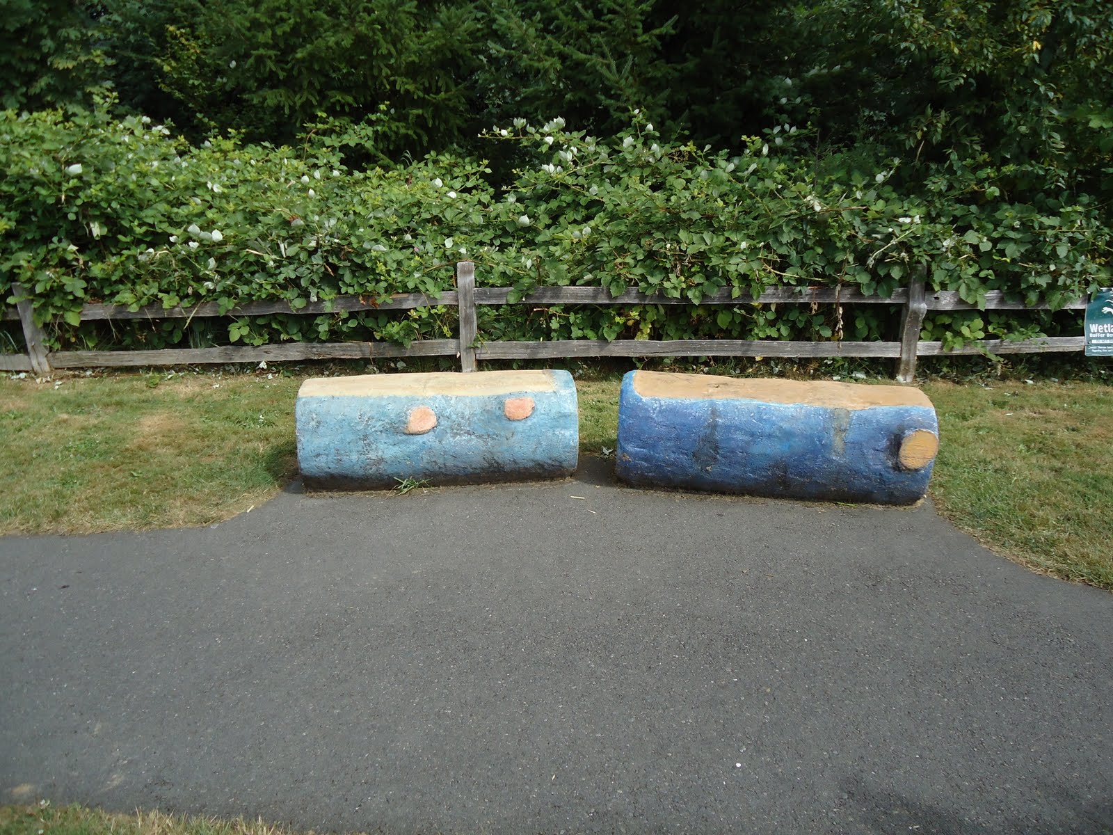 Matthew's Washington Trip: Fallen Logs-Friendly Grove Park, Olympia, WA
