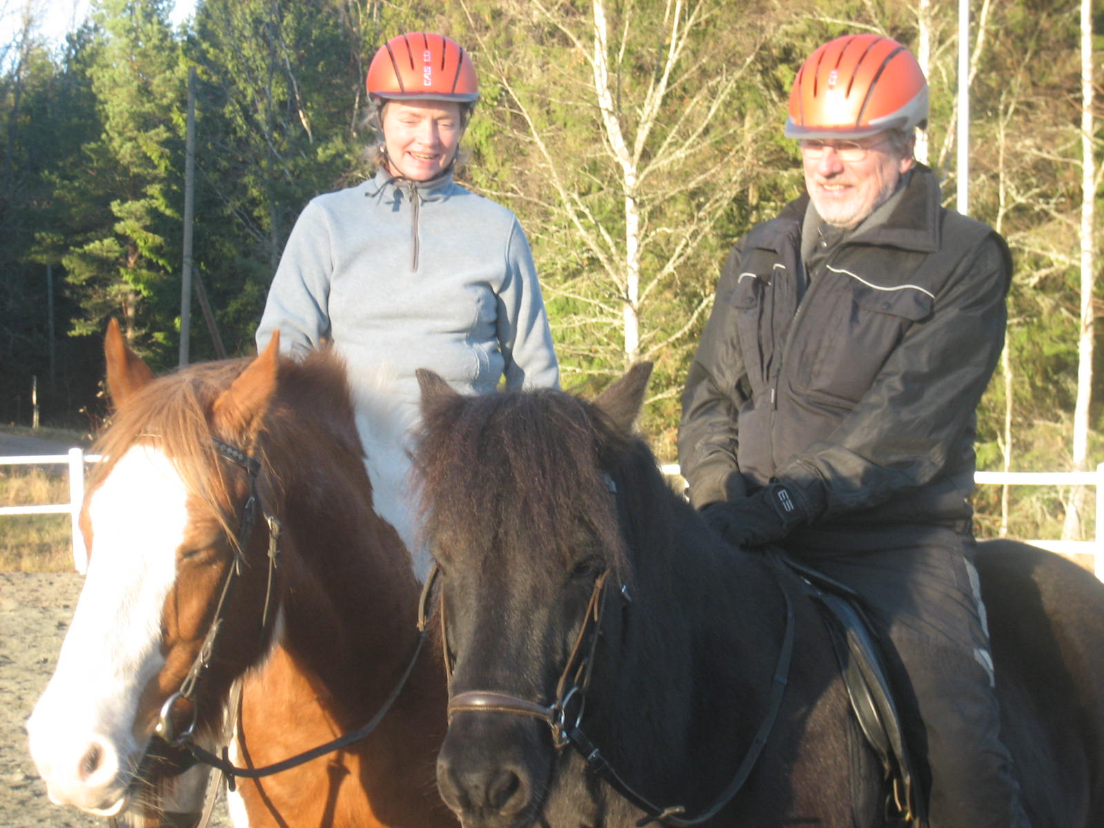 Alles-Heller in Schweden: Unser inzwischen gemeinsames Hobby Reiten