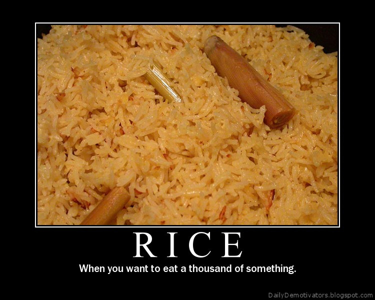 Rice Demotivational Poster Demotivational Posters Daily Demotivators ...