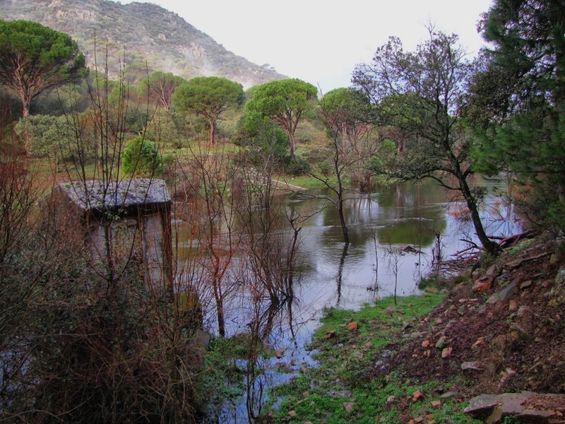 NATURALEZA SALVAJE: RIO COFIO Y ENTORNO.