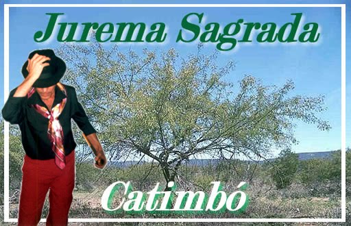 Jurema Sagrada - espadadeogum