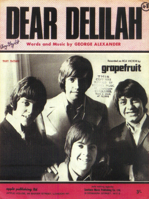 My Collections: The Grapefruit