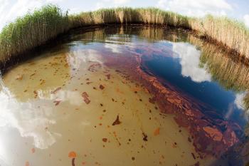 Endangered Spaces blog: The Gulf Coast is Dying