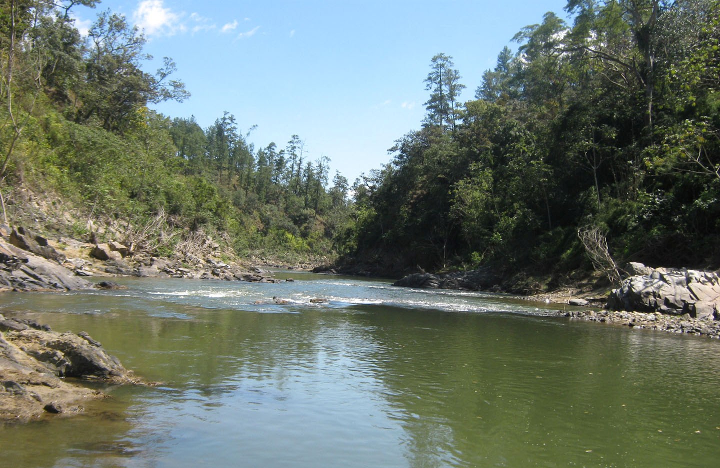 laportadainfo.hn: Proyecto PATUCA III