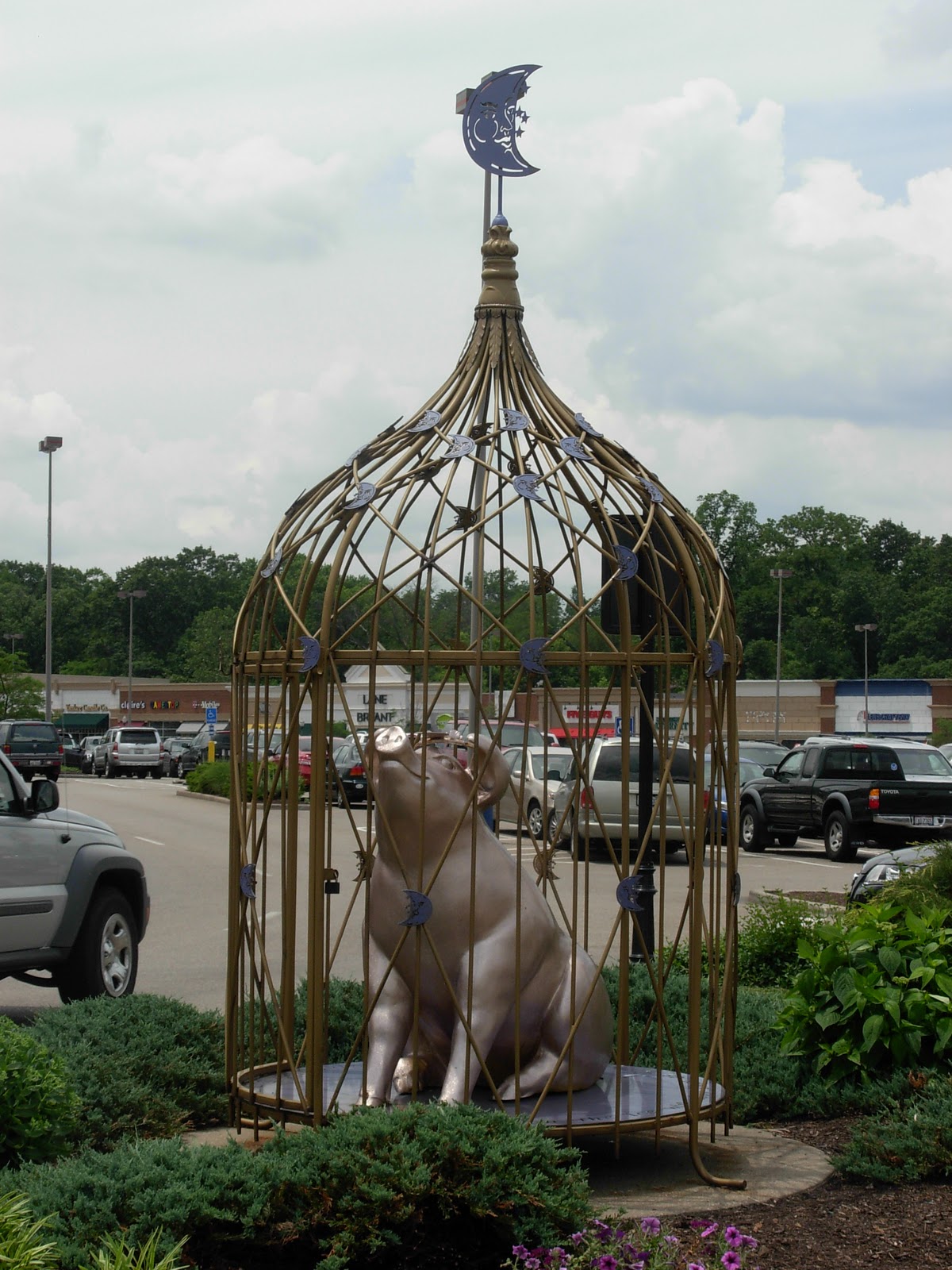 Cincy Dwellers: Heart of the Art / Photo Cafe: Porkopolis' Pigmania