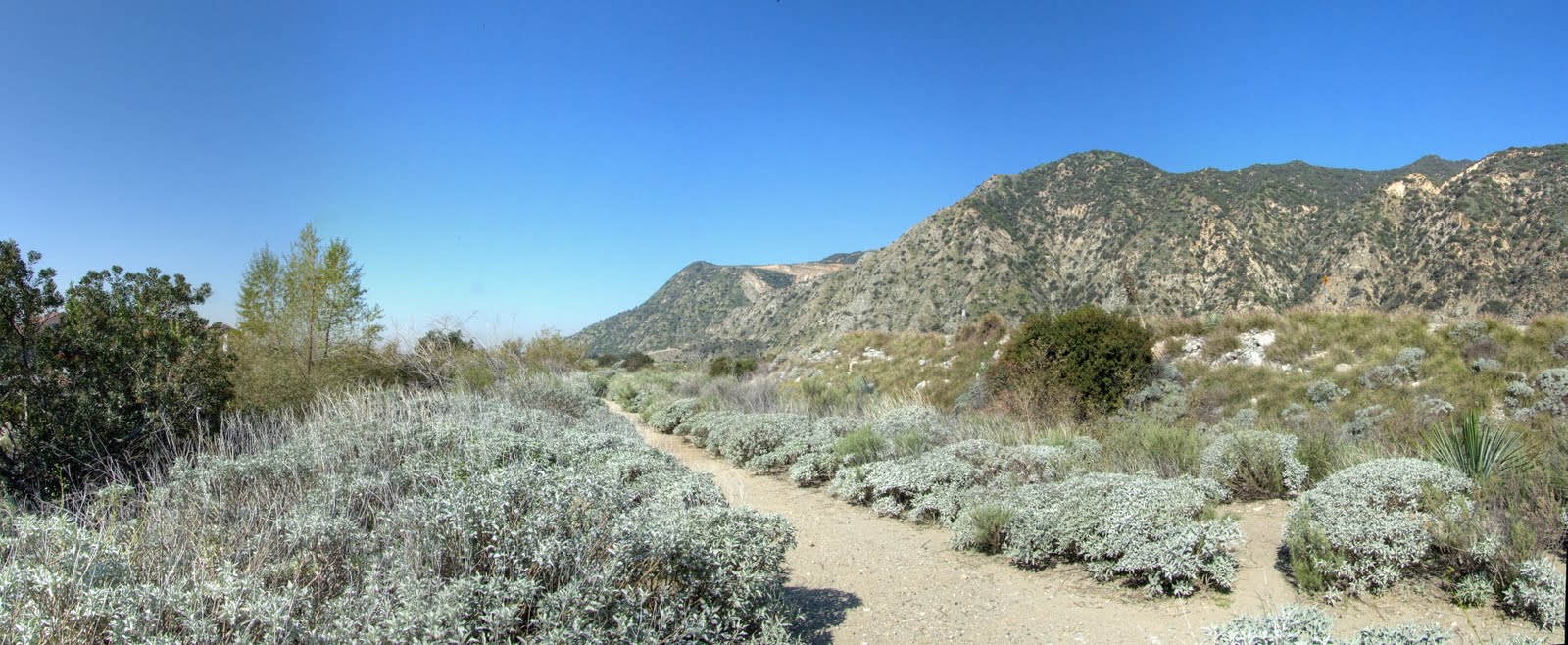 The Shadow of my Life: Beautiful Azusa Canyon