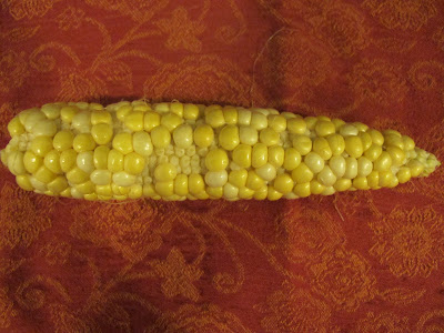 How Weird Is This Corn?