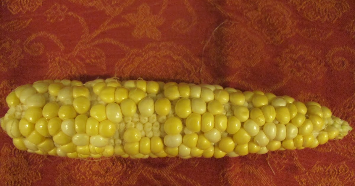 How Weird Is This Corn?