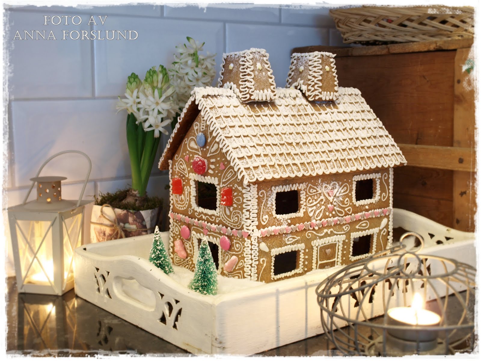 Vita rosor och förgätmigej: Pepparkakshus